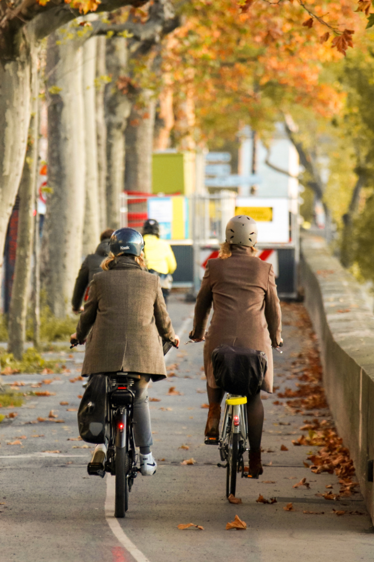 Walking in the Suburbs: The challenges and tribulations of being a weird bipedal creature in a ...